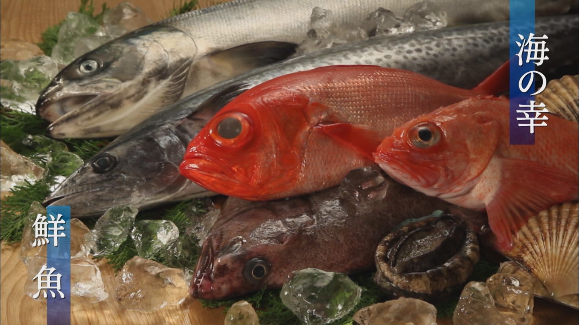 海の幸と大地の恵み・t ekute OPEN 篇｜東北朝日プロダクション